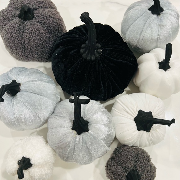 Holiday | Assorted Pumpkinsgourds Various Textures And Sizes ...